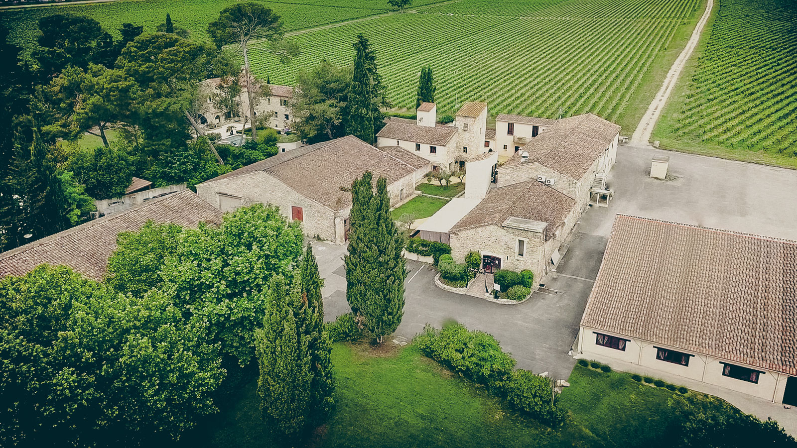 Vignobles Vellas - Vineyards & French Wine Languedoc